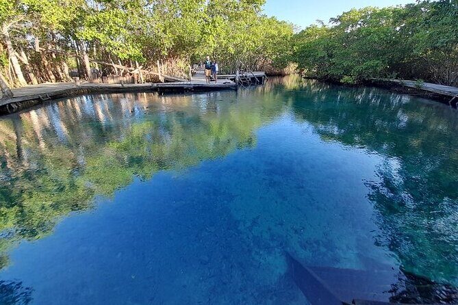 Private boat tour (3 islands tour) - Who Should Consider This Tour?