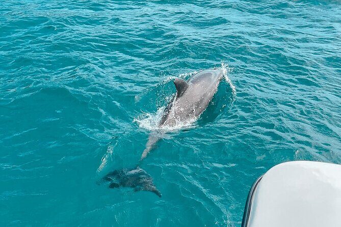 Private Boat Tour with Dolphin Spotting and Snorkelling from Phuket - What’s Included and What’s Not