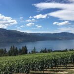 Private Boat Tour with Lunch Stop - The Experience for Travelers