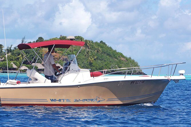 Private Bora Bora Lagoon Experience - What Is the Tour Really Like?
