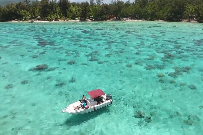 Private Bora Bora Lagoon & Water Lunch Experience - Authentic Experiences and Personal Touches
