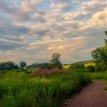 Private Brandywine and Longwood Gardens Driving Tour - How the Tour Works