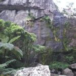 Private Breathtaking Koroyanitu Half Day Waterfall Hike - The Itinerary Breakdown: What to Expect