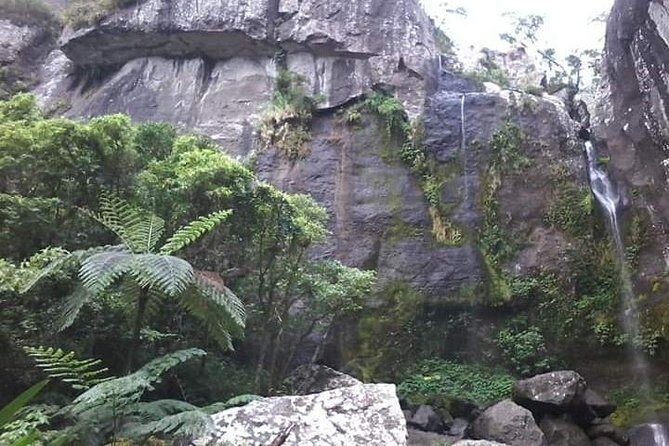 Private Breathtaking Koroyanitu Half Day Waterfall Hike - The Itinerary Breakdown: What to Expect