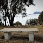Private Bruny Island Discovery Tour - What You Can Expect: Comfort, Customization, and Local Flavor