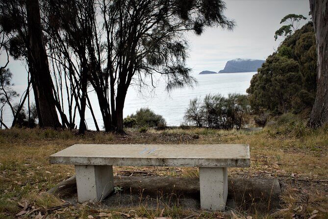 Private Bruny Island Discovery Tour - What You Can Expect: Comfort, Customization, and Local Flavor