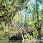 Private Buggy & ATV Tour to Jade Cavern Cenote: All-Inclusive - The Experience: More Than Just a Day in Cozumel
