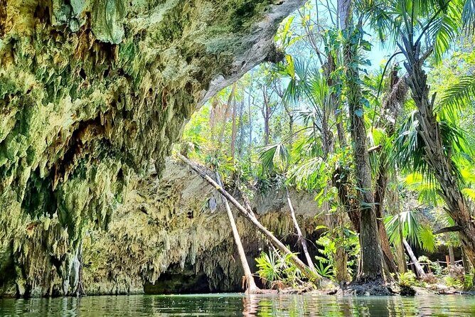 Private Buggy & ATV Tour to Jade Cavern Cenote: All-Inclusive - The Experience: More Than Just a Day in Cozumel