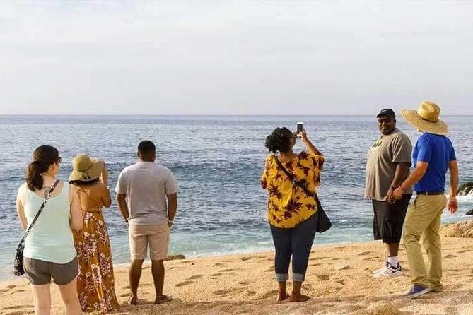 Private Cabo San Lucas City Tour - What Could Be Better?