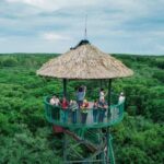 Private Can Gio Mangrove Biosphere Reserve 1 Day Tour - Analyzing the Experience: Is It Worth the Price?