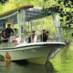 Private Cape Tribulation & Mossman Gorge Day Tour - Why This Tour Is a Great Investment