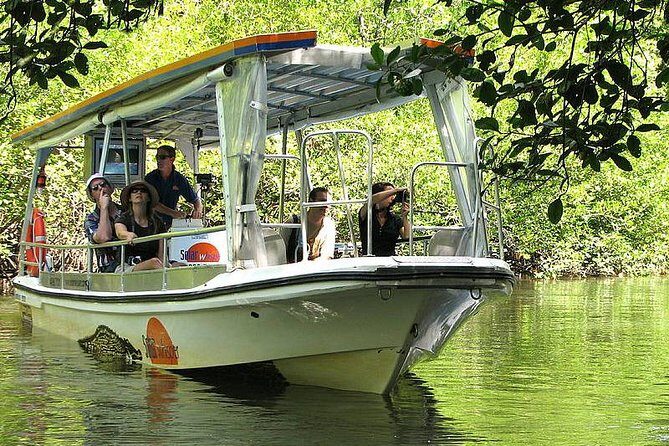 Private Cape Tribulation & Mossman Gorge Day Tour - Why This Tour Is a Great Investment