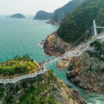 Private Car Charter Tour in Busan City - What Travelers Are Saying