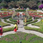 Private Car Da Nang/Hoi An To Golden Brigde with English Driver - In-Depth: Why This Tour Offers Good Value