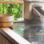 Private Car Day Trip to the Kobe Mountains, Gardens and Hot Springs from Osaka - What This Tour Offers for Your Money