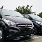 Private Car Use for Chengdu Panda breeding Center - Why Visiting Early Matters