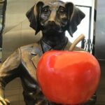 Private Cassic Walking Tour of Melbourne: start from your hotel - Itinerary Breakdown: What You’ll See and Experience