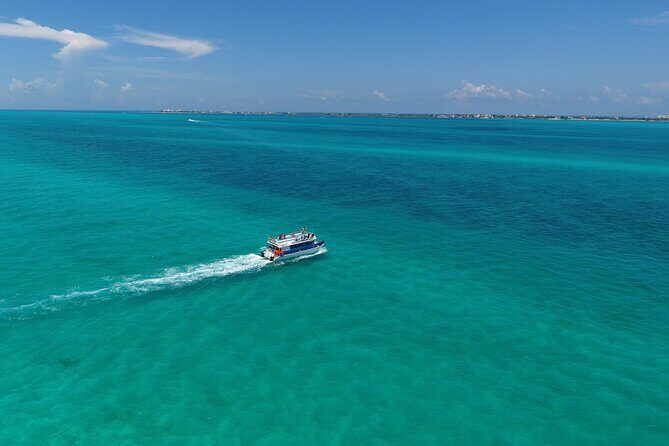 Private Catamaran for Weddings Bachelor Parties and Bridal Showers - What the Reviews Say: Authentic Insights