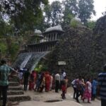 Private Chandigarh Day Trip from New Delhi - The Experience of a Private Tour