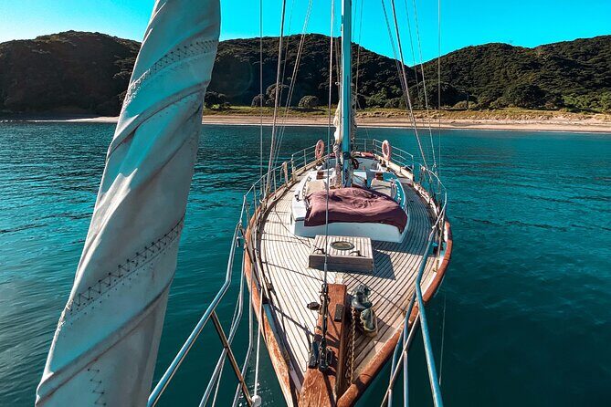 Private Charter Bay of Islands - What Makes This Tour Stand Out