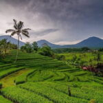 Private Chartered Car to Jatiluwih and Tanah Lot - Key Points