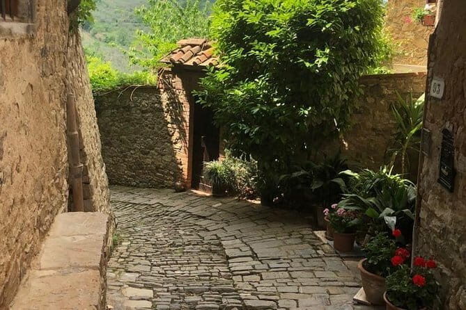 Private Chianti Wine Day Experience From Tuscany - What’s Included and What’s Not