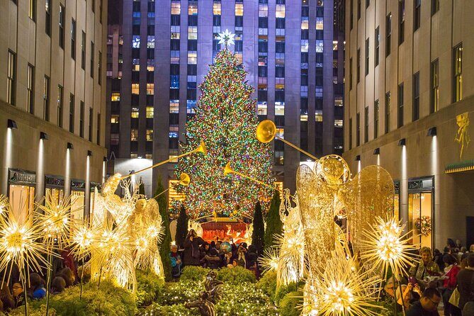Private Christmas Lights Horse Carriage Tour In New York City - The Itinerary in Detail