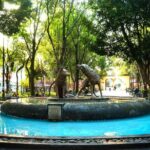 Private City Tour in Frida Kahlo, Coyoacan, and Xochimilco - Transportation & Timing: What You Need to Know