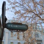 Private City Tour of Harbin - The Practicalities: What Makes This Tour Stand Out