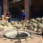 Private Colonial Tour Tequila and the Noria - A Closer Look at the Itinerary