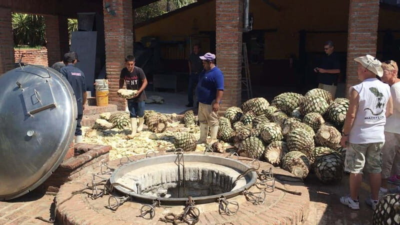 Private Colonial Tour Tequila and the Noria - A Closer Look at the Itinerary