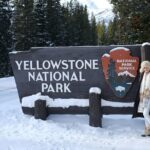 Private, Custom Yellowstone Wildlife Tours & Photo Safaris - Who Will Appreciate This Tour Most?