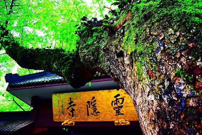 Private Customizable Tour: From Shanghai To Hangzhou With Chinese Lunch - Practical Details and Value