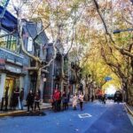 Private Customized Shanghai Highlights in One Day from Dalian by Air - Authentic Insights from Travelers