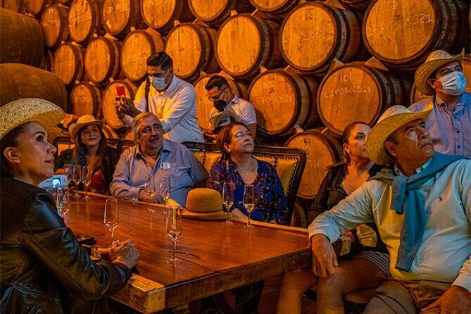 Private Day Adventure Tour in Tequila and visit to the Castle of Tequila - What the Experience Means for You