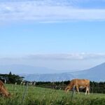 PRIVATE Day MiniBUS Tour to Mt.Aso & Kumamoto Castle from Fukuoka - The Route and What You’ll Experience