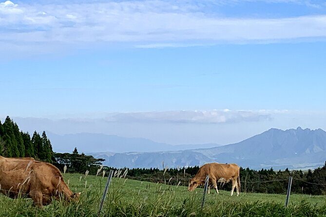 PRIVATE Day MiniBUS Tour to Mt.Aso & Kumamoto Castle from Fukuoka - The Route and What You’ll Experience