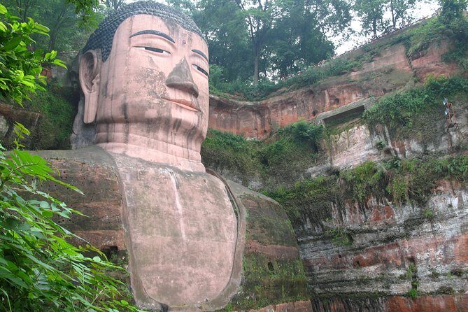 Private Day Tour: Chengdu Panda and Leshan Buddha - Authentic Experiences from Other Travelers