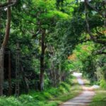 Private Day Tour: Cuc Phuong National Park from Hanoi - Detailed Breakdown of the Itinerary