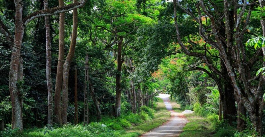 Private Day Tour: Cuc Phuong National Park from Hanoi - Detailed Breakdown of the Itinerary