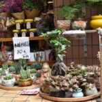 Private Day Tour in Guangzhou College Town - What Travelers Say