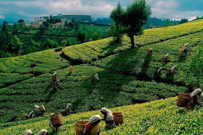 Private Day Tour Of Kandy From Galle and Bentota - Authentic Experience & Practical Tips