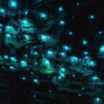 Private Day Tour of Ruakuri Cave, Glowworm and Hobbiton Movie Set - Why Choose This Tour? Top Highlights and Practical Insights