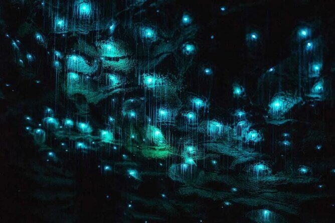 Private Day Tour of Ruakuri Cave, Glowworm and Hobbiton Movie Set - Why Choose This Tour? Top Highlights and Practical Insights