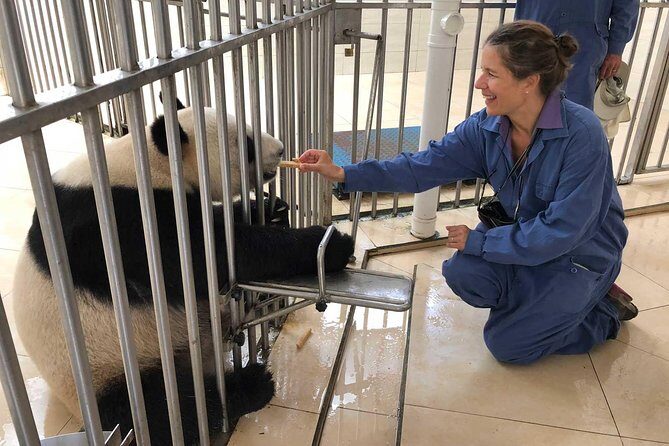 Private Day Tour: Panda Keeper Program From Chengdu - An In-Depth Look at the Panda Keeper Experience