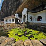 Private Day tour Sigiriya and Dambulla - Why This Tour Suits Travelers Well