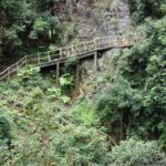 Private Day Tour to Guangdong Grand Canyon from Guangzhou - The Experience and What Travelers Say