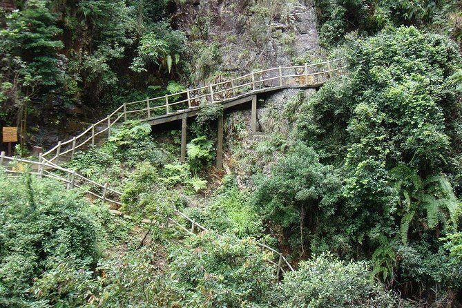 Private Day Tour to Guangdong Grand Canyon from Guangzhou - The Experience and What Travelers Say