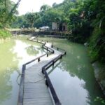 Private Day Tour to Gulong Canyon Glass Bridge from Guangzhou - Authentic Experiences and Authenticities