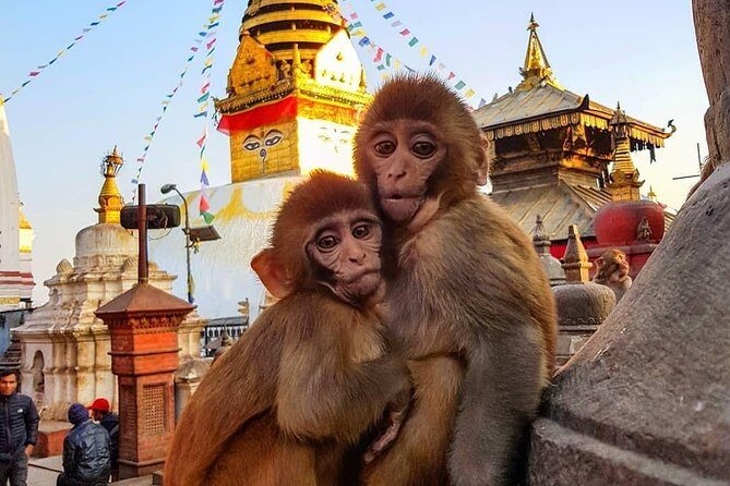 Private Day Tour to Kathmandu Durbar Square & Swayambhu Stupa #visitnepal2020 - Practical Aspects